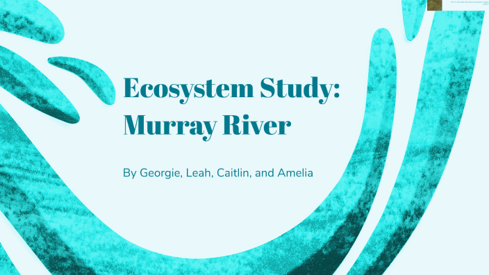 Ecosystem Study: Murray River by georgie robertson on Prezi