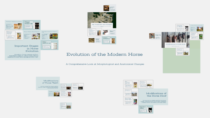 Evolution of the Modern Horse by Satchel Bell on Prezi