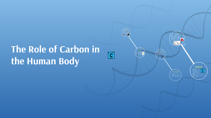 The Role of Carbon in the Human Body by Kaitlin Oliver on Prezi