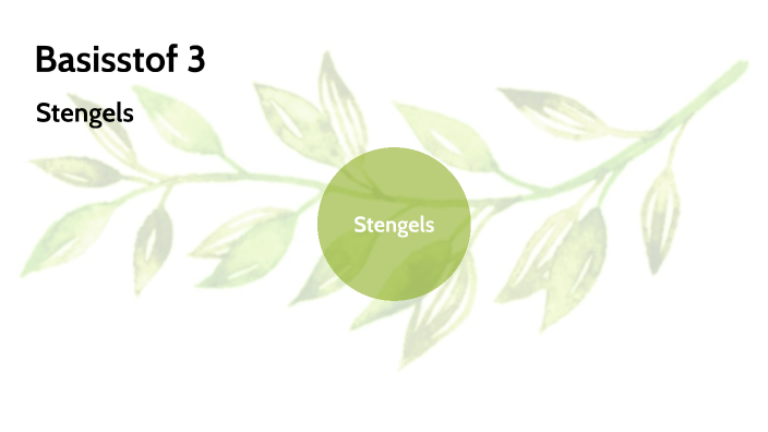1T1 Th2 BS3 by Bram van Hartingsveldt on Prezi