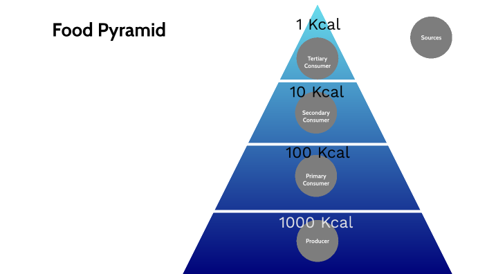 Food Pyramid by Max Hanks on Prezi