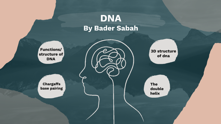 Main functions of DNA by Bader alsabah on Prezi
