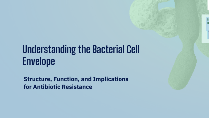 Understanding the Bacterial Cell Envelope by andin otgon on Prezi