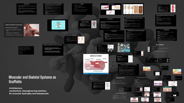Muscular and Skeletal Systems: Bioengineering Solutions by Sujay Mh on ...