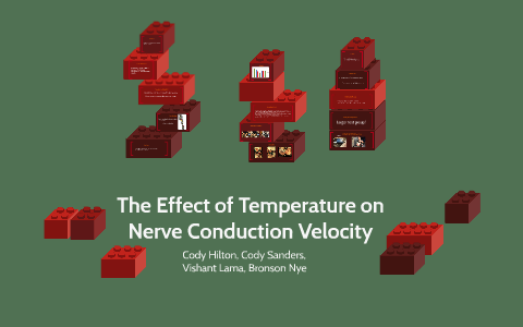 The Effect of Temperature on the Speed of muscle contraction by Cody S ...
