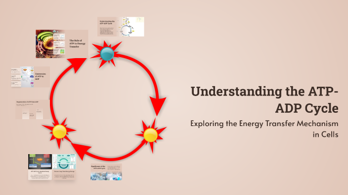Understanding the ATP-ADP Cycle by Laine Likigan on Prezi