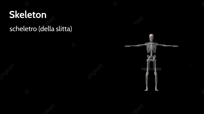 Skeleton by Francesco Baldi on Prezi