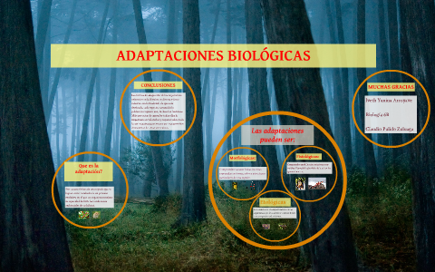 Adaptaciones biológicas by claudio pulido on Prezi