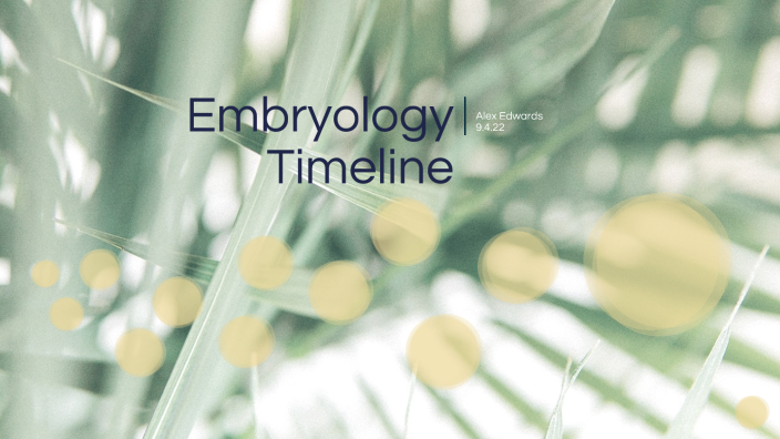 Embryology Timeline by Alexandra Edwards on Prezi