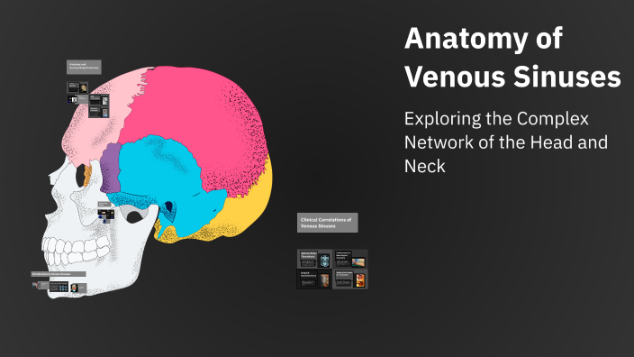 Anatomy of Venous Sinuses by lea jezzini on Prezi