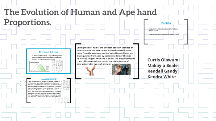 Evolution of Hands by Curtis Olawumi on Prezi