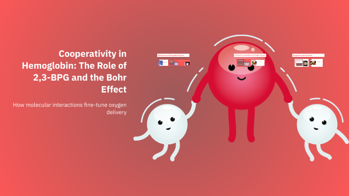 Cooperativity in Hemoglobin: The Role of 2,3-BPG and the Bohr Effect by ...