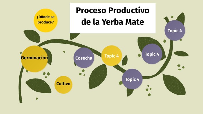 Proceso productivo de la yerba mate by Jeremías Soria on Prezi