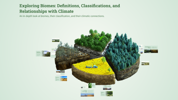 Exploring Biomes: Definitions, Classifications, and Relationships with ...