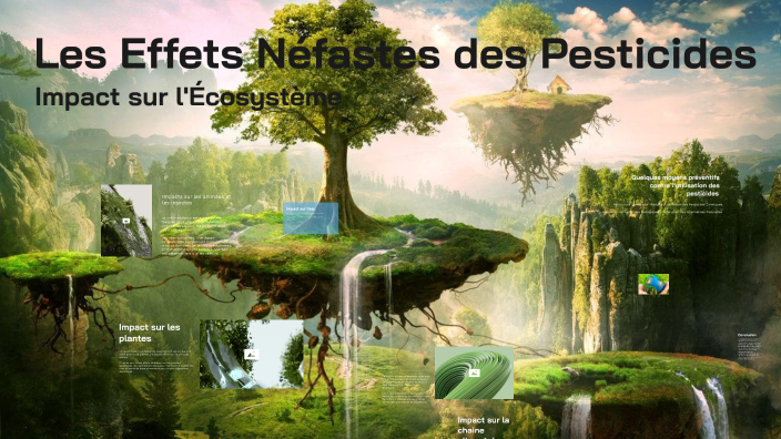 Les Effets Néfastes des Pesticides by Arthur Carton Poskin on Prezi
