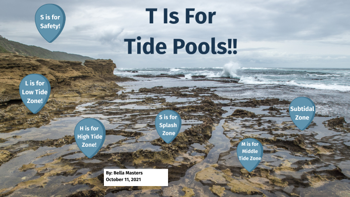 Tide Pools by Isabella Masters on Prezi