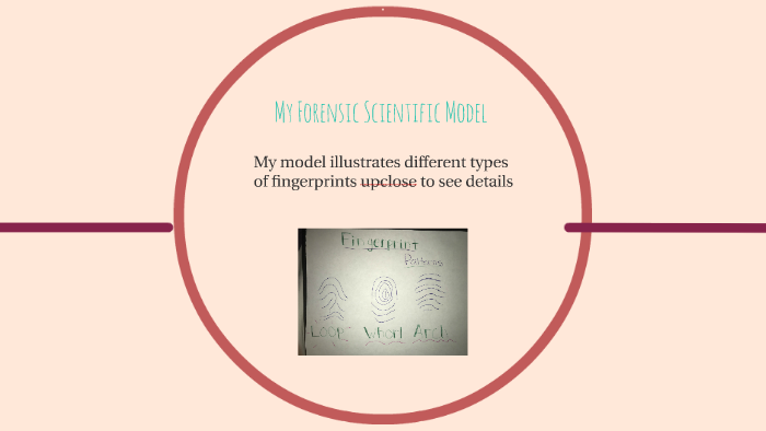 My Forensic Scientific Model by Audrey Finerfrock on Prezi