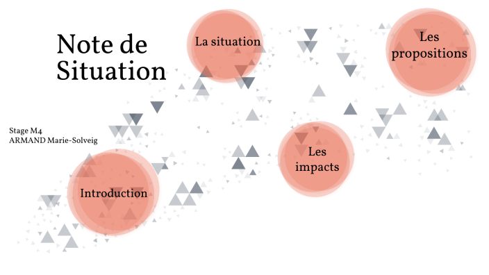 NOte de situation by Marie ARMAND on Prezi