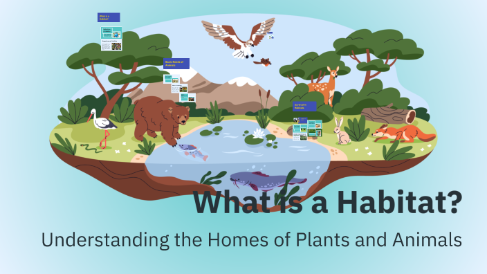 What is a Habitat? by Dina Davis on Prezi