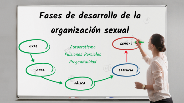 Fases del desarrollo libidinal by Agustina Toso on Prezi
