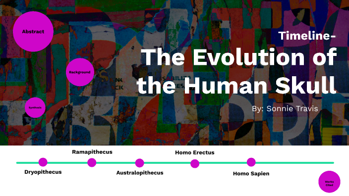 The Evolution of the Human Skull by sonnie travis on Prezi