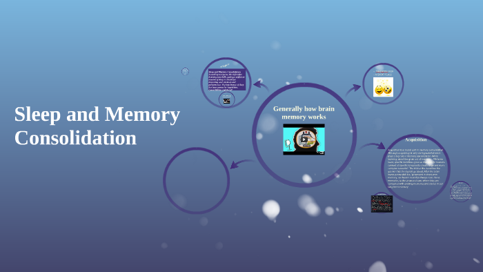 Sleep and Memory Consolidation by Zuzanna Wandas on Prezi
