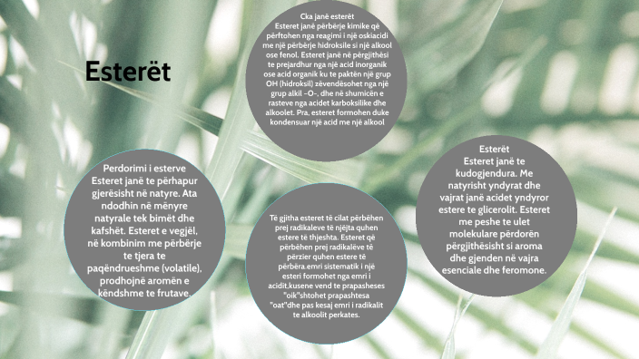 Esterët by Melisa Idrizi on Prezi