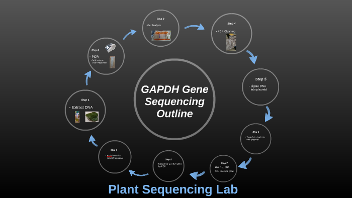 GAPDH Gene Sequencing Outline by Nathan Horst