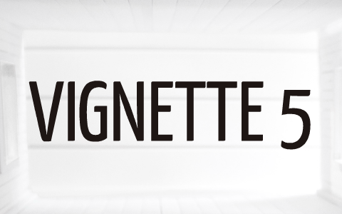 Vignette Chapter 5 by angela yake on Prezi