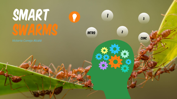 Smart swarms by Victoria Conejo on Prezi