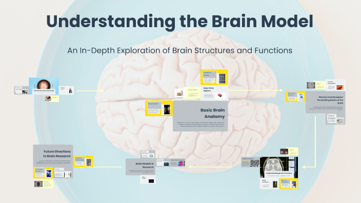 Brain Model by Greta Hawkins on Prezi