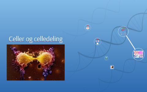 Celler og celledeling by Helle Bojsen on Prezi