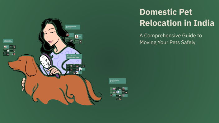 Domestic Pet Relocation in India by Arunimaa A on Prezi