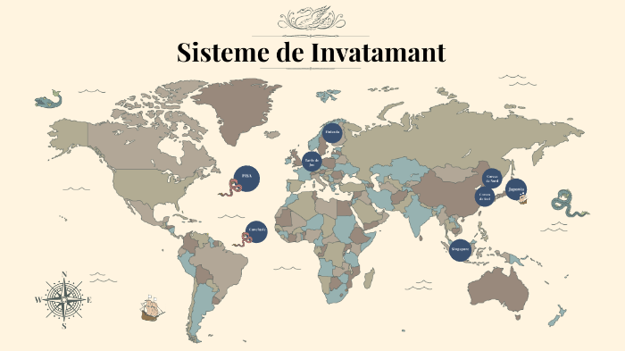 SIsteme De Invatamant by Alexandru Bizgan on Prezi