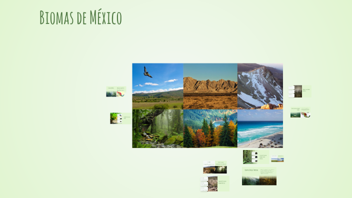 Biomas de México by Esther camarillo fajardo on Prezi