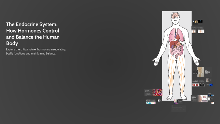 The Endocrine System: How Hormones Control and Balance the Human Body ...