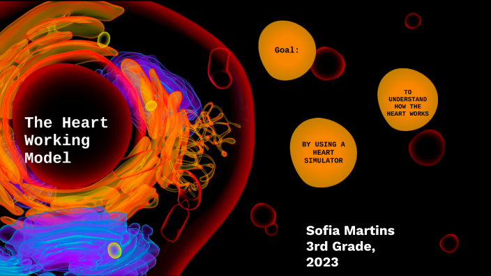 Heart Working Model by Avo Orelbah on Prezi