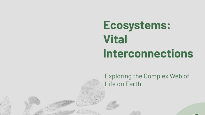 Ecosystems: Vital Interconnections by Victor on Prezi