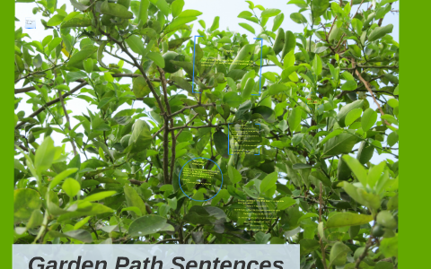 Garden Path Sentences by Haley Antill on Prezi