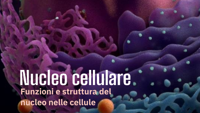 Nucleo cellulare by Monia Gizzarelli on Prezi
