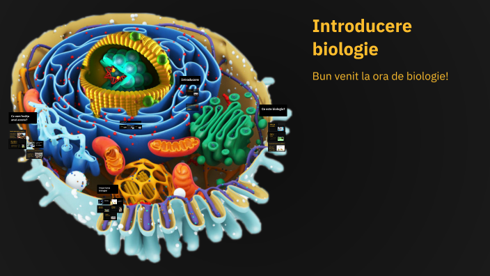Introducere biologie by Teodora Călin on Prezi