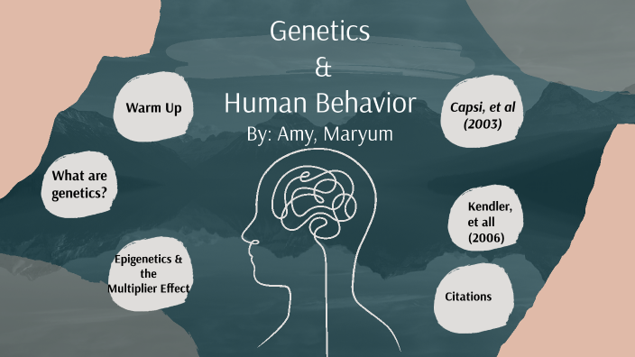 Genetics & Human Behavior (tcfad project) by Ayman Habib on Prezi