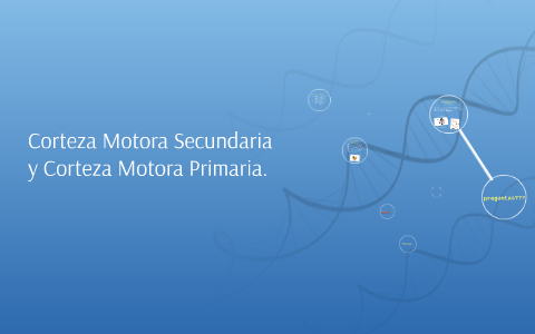 Corteza Motora Secundaria y Corteza Motora Primaria. by Enrique Luna on ...