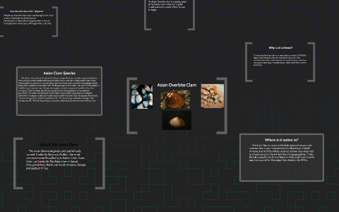 Asian Overbite Clam by Natalie Cao by Natalie Cao on Prezi