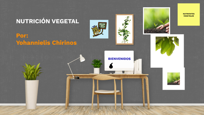 NUTRICIÓN VEGETAL by Yelitza Marcano on Prezi
