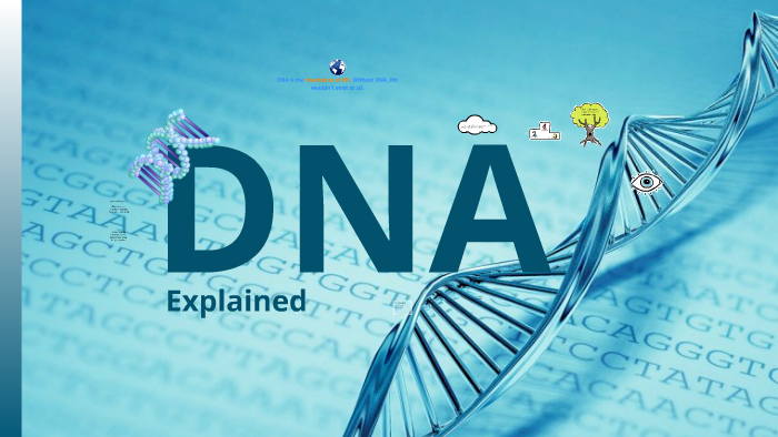 DNA Explained by Bryan Turner on Prezi