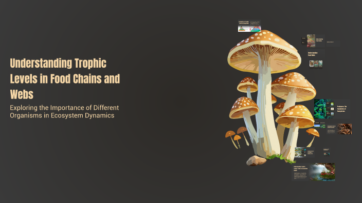 Understanding Trophic Levels in Food Chains and Webs by Sindy Lorena ...