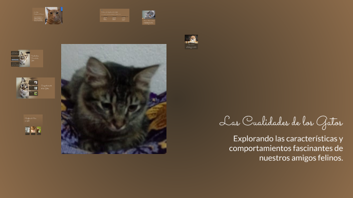 Las Cualidades de los Gatos by Vicky Lopez on Prezi