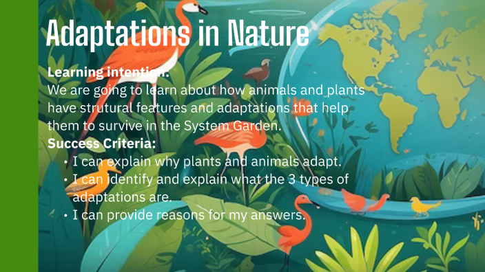 Adaptations in Nature by Martyn Chai on Prezi