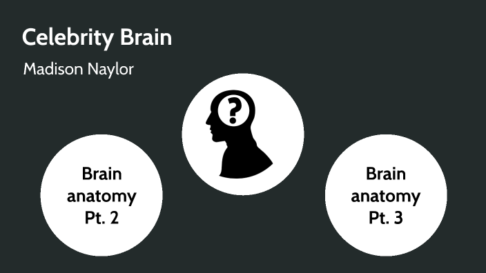 Celebrity brain by Madison Naylor on Prezi